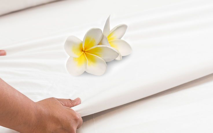 Pampered Stays at Coral Tree Residences Collection: Deluxe Housekeeping ...